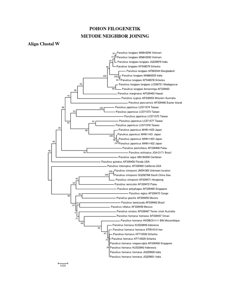 Anis Kholila - 26040121130060 - Konstruksi Pohon Filogeni | PDF ...