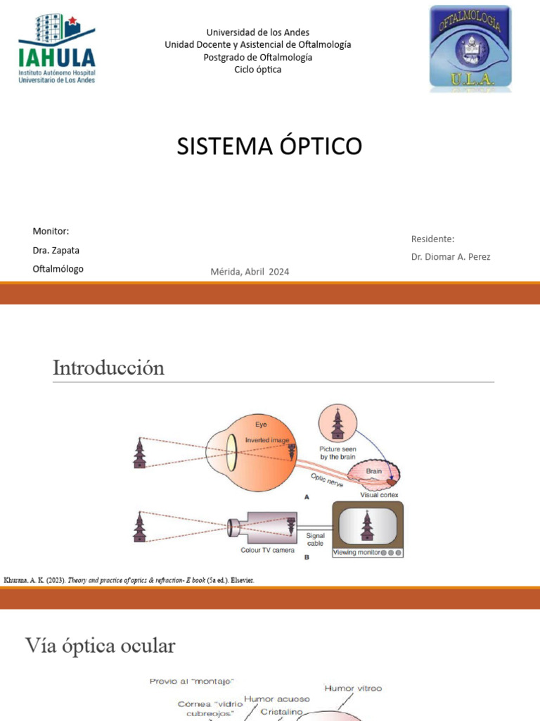 Sistema Optico | PDF | Percepción visual | Ojo humano