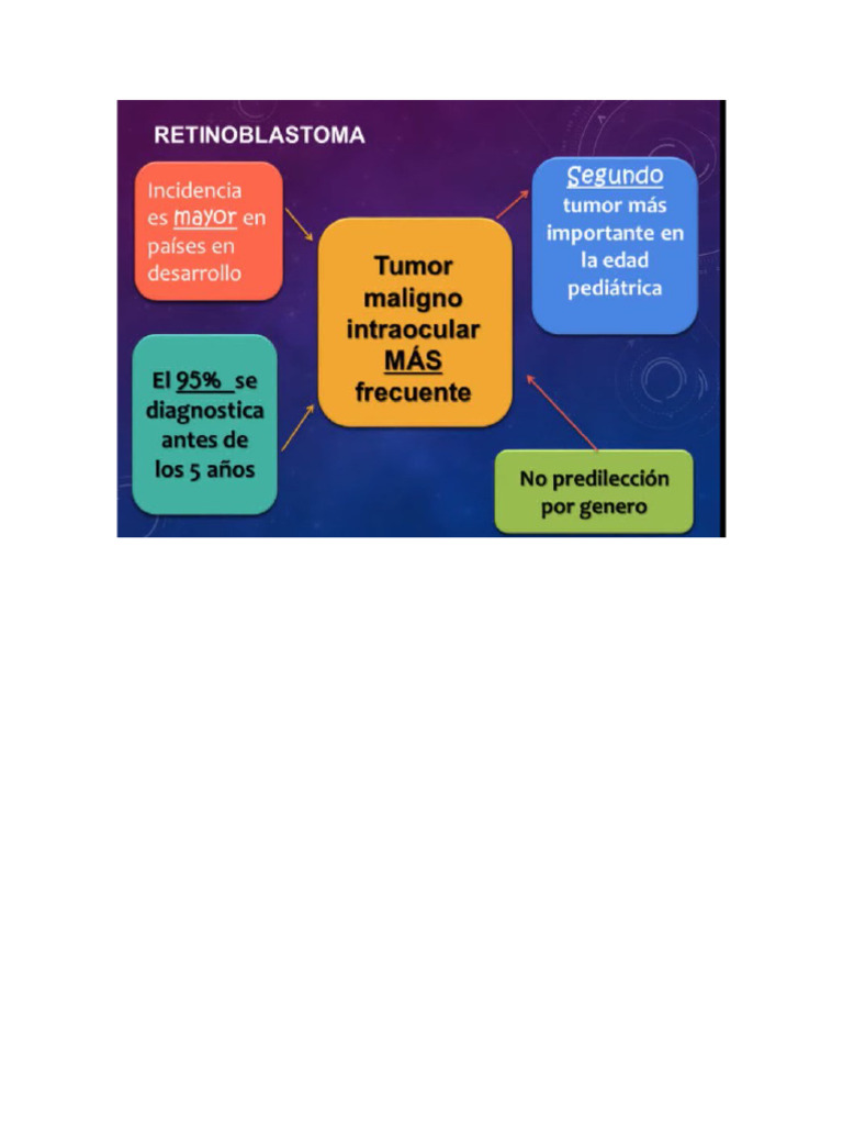 Reti No Blast Oma | PDF