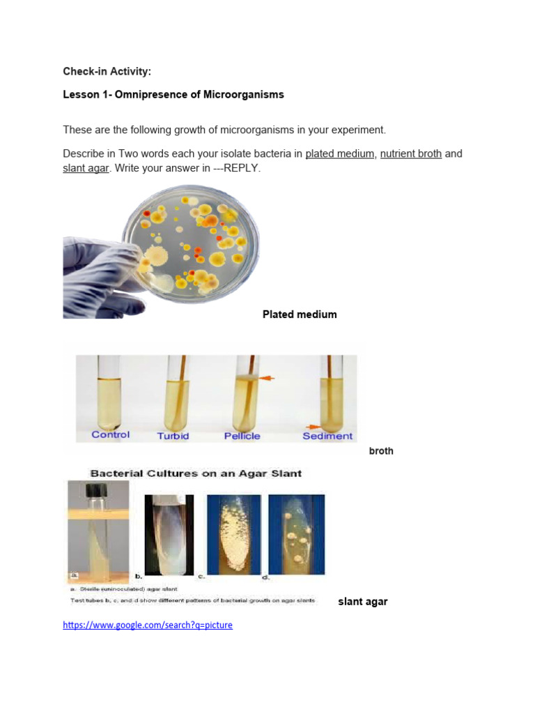 Check-In Activity Lesson 1 Omnipresence of Microorganisms | PDF
