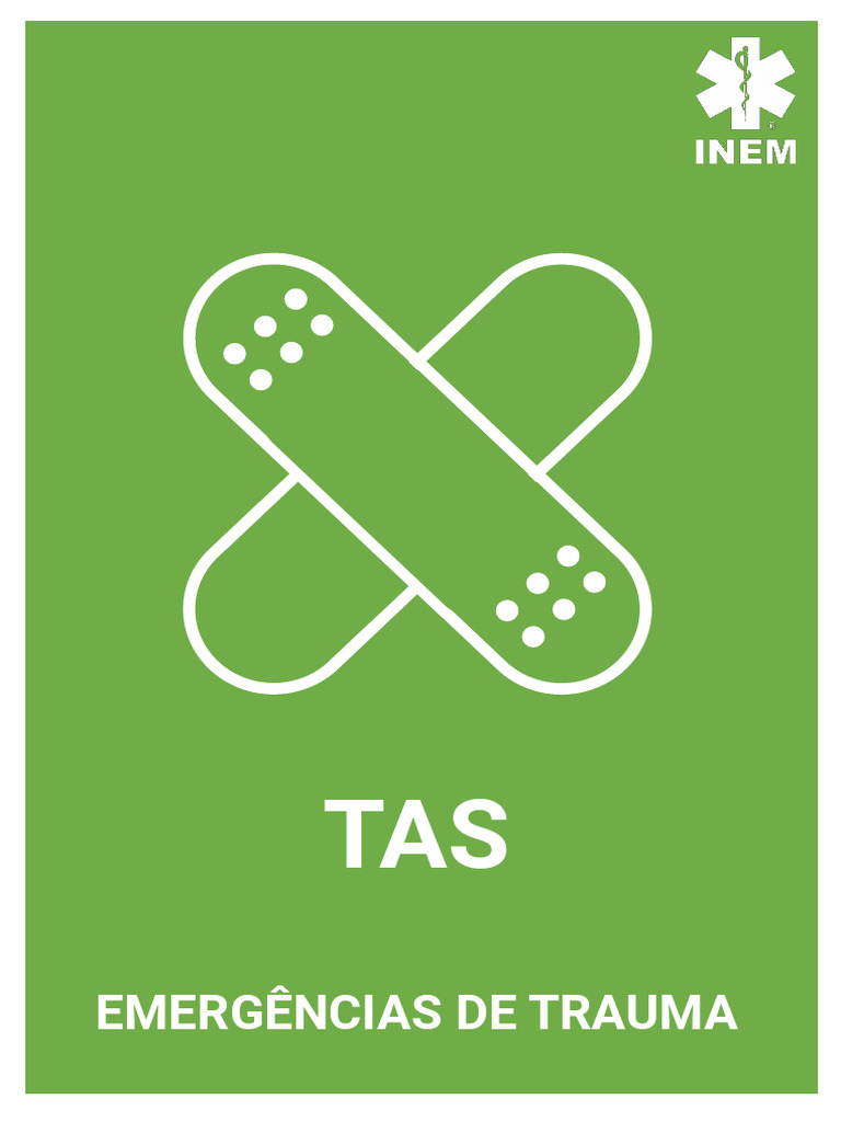 6.tas Et V1 Mar24 | PDF | Airbag | Força