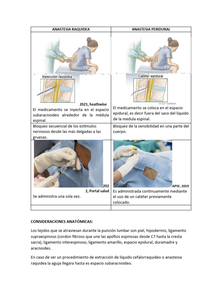 Anastesia Raquidea | PDF | Ciencia y matemáticas