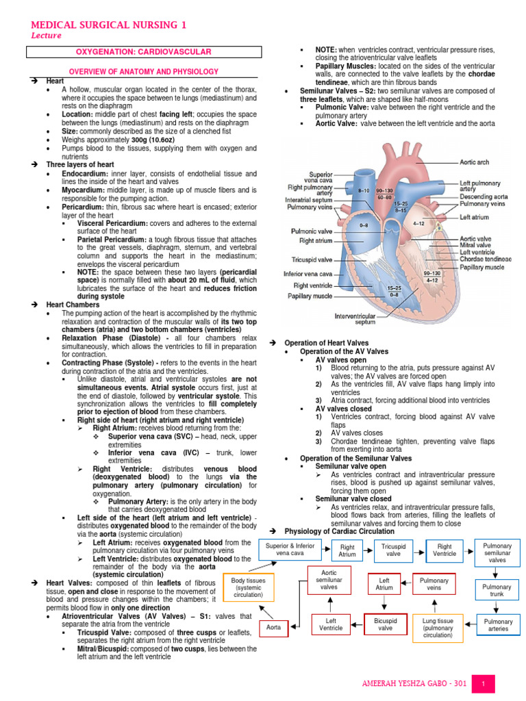 4 Oxy Cardio | PDF | Heart Valve | Heart