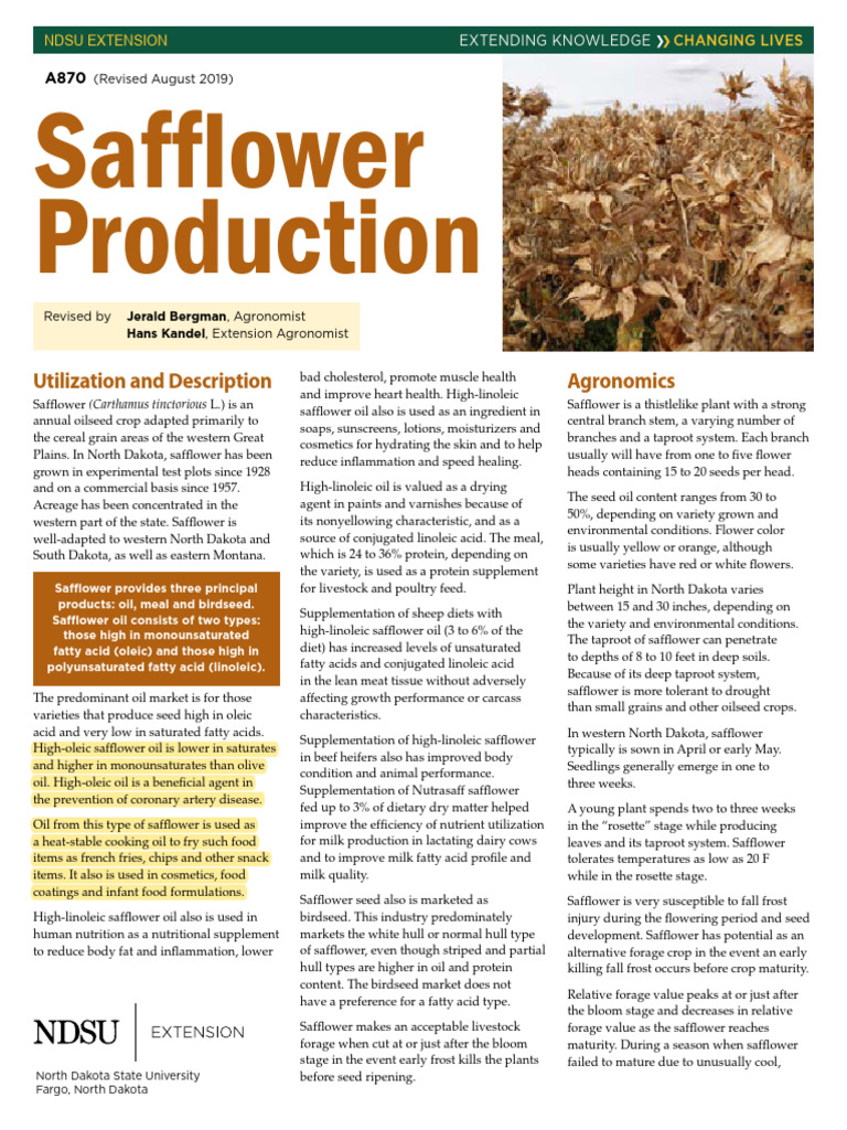 Safflower Production | PDF | Crop Rotation | Seed