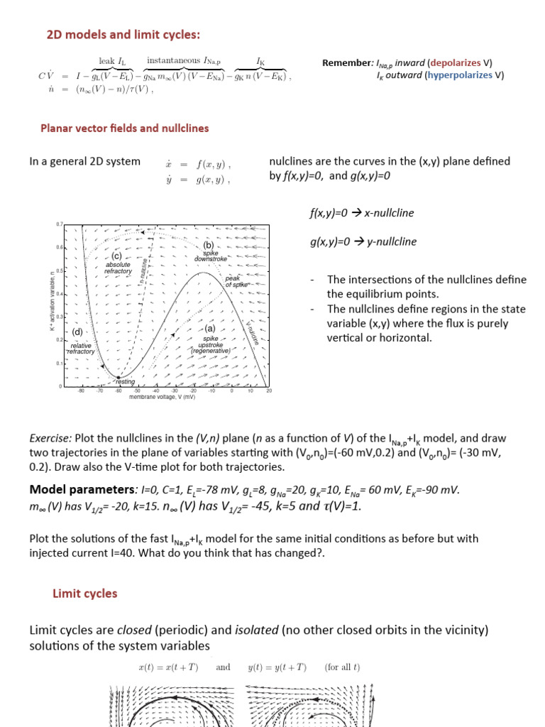 Clase5 - Simplified Models. 2D Neuron | Download Free PDF | Eigenvalues ...