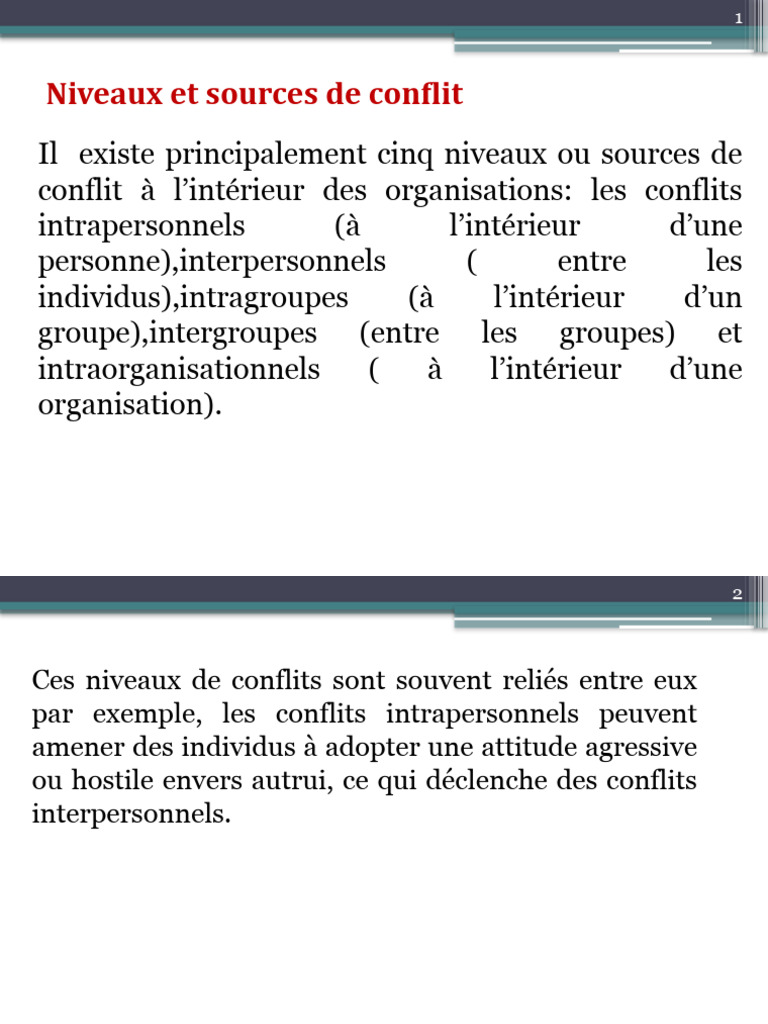 Niveaux Et Sources de Conflits | PDF