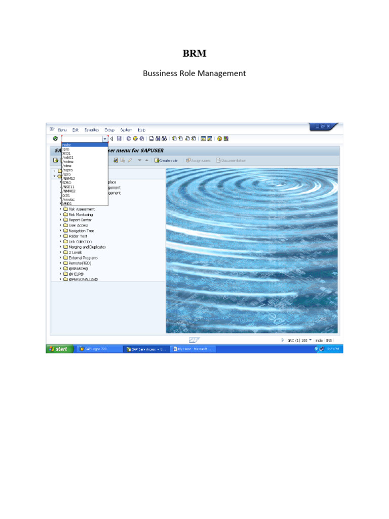 Bussiness Role Management | PDF | Information Technology | Information Technology Management