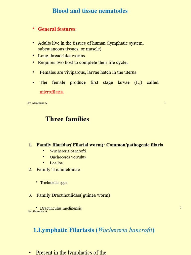 Blood Nematodes, Cestode and Trematode | Download Free PDF ...
