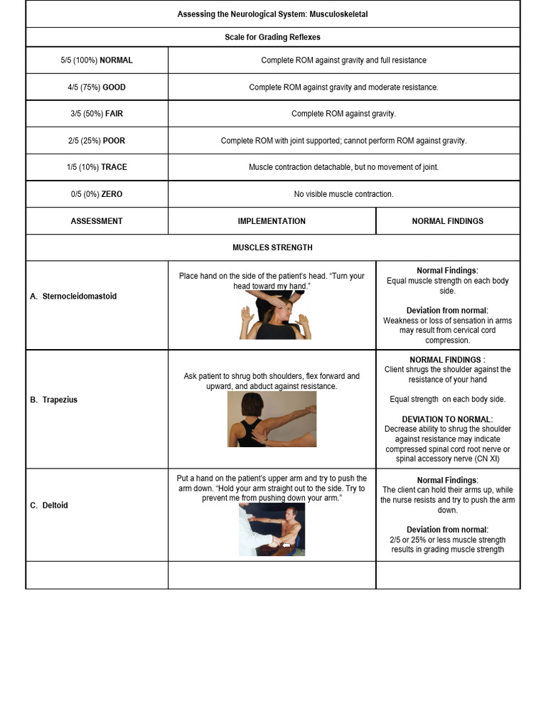 Neurological Reflex Grading Guide | PDF | Anatomical Terms Of Motion ...