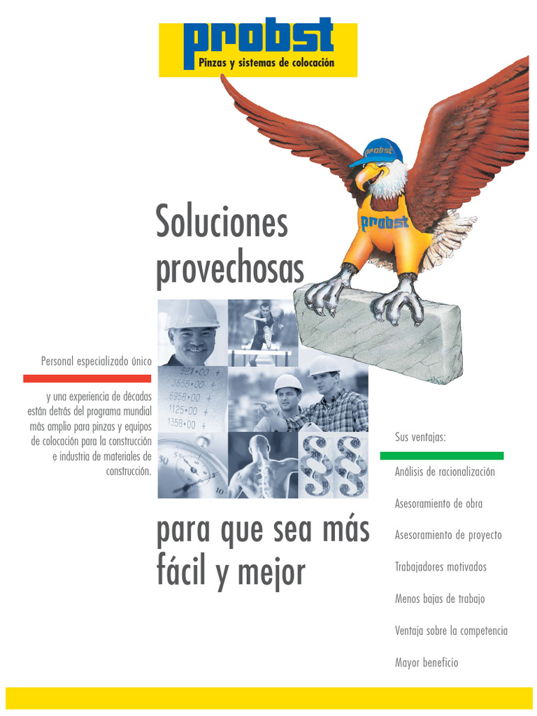 PROBST Colocacion | PDF | Grúa (máquina)
