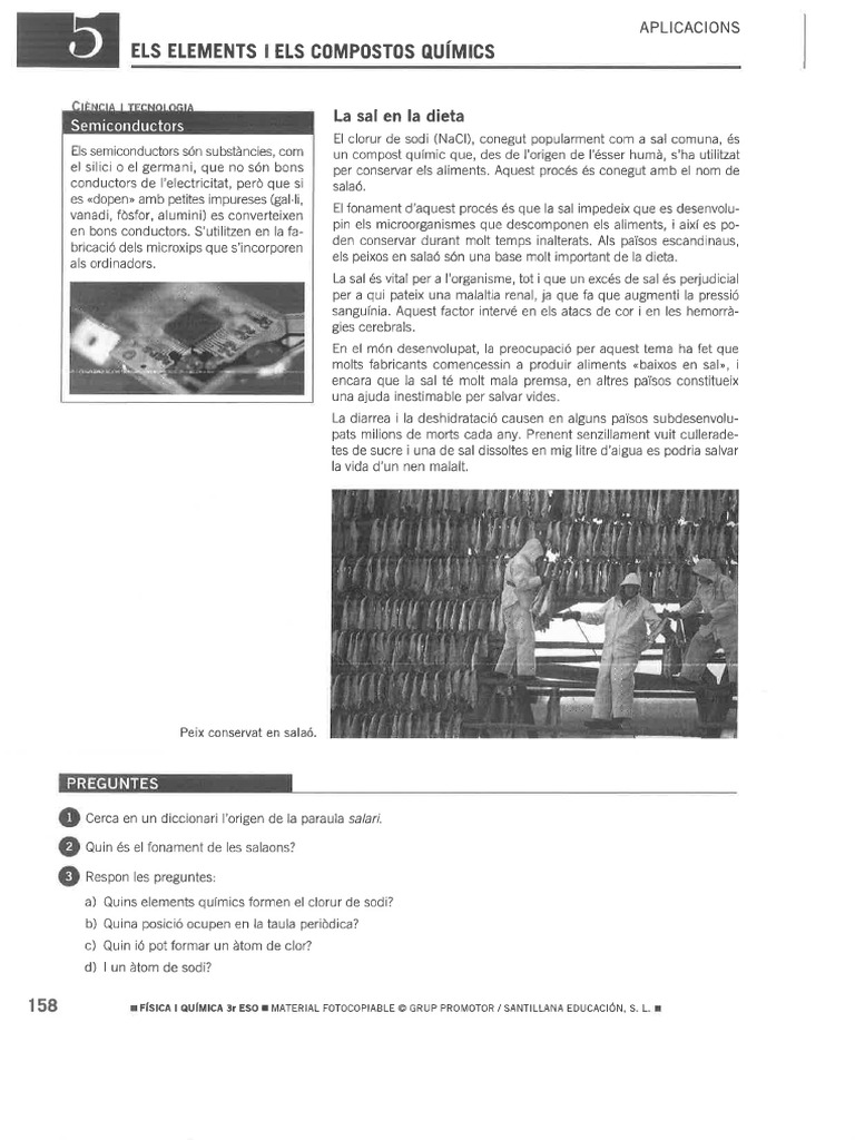Els Elements i els Compostos químics | PDF