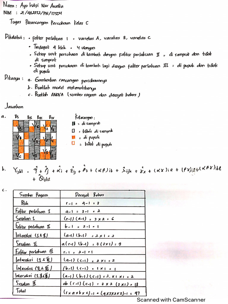 Ayu Lutfi Nur Awalia_482352_Tugas Desain Faktorial dan Split Plot | PDF