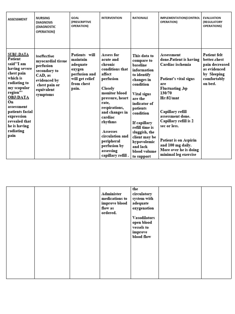 CARE PLAN Format | PDF | Heart | Perfusion