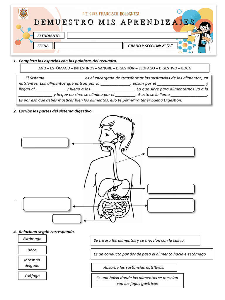Evaluacion Sistema Digestivo | PDF | Cocina, comidas y vino