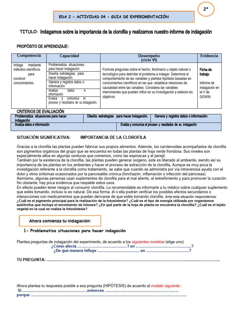 Act. 4 - 2° - Guia de Experimentación - Tejidos Vegetales | PDF | Plantas | Clorofila