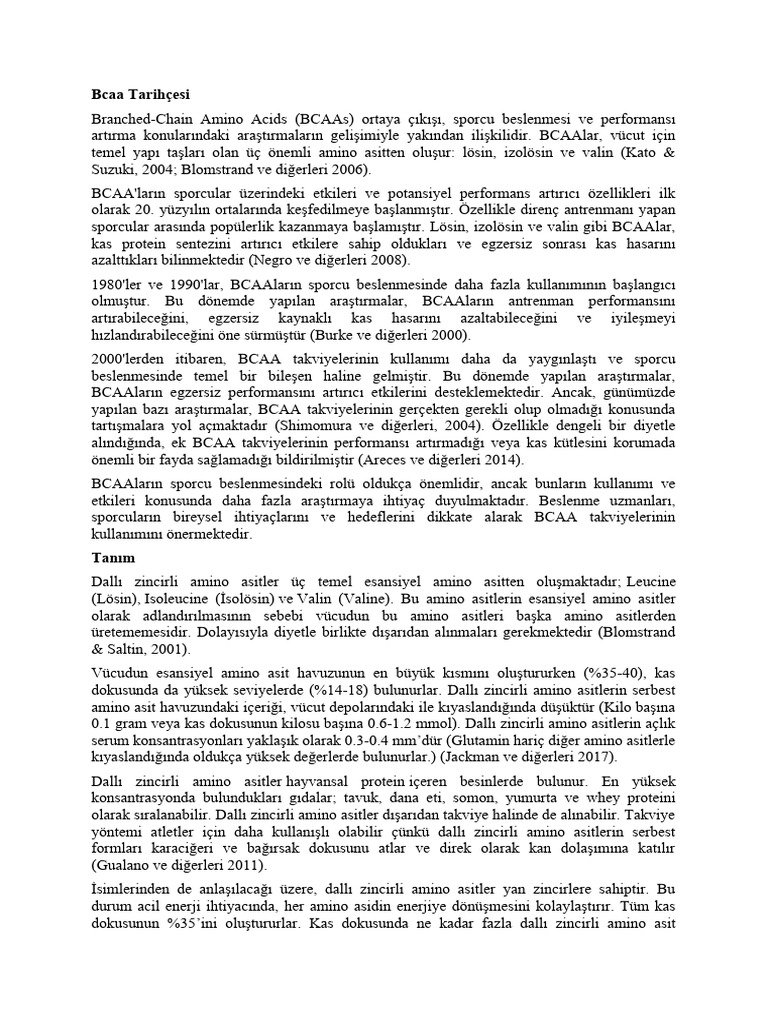 BCAA Ilayda | PDF