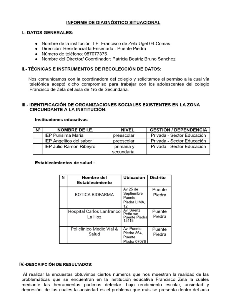 Esquema Informe Diagnóstico Situacional | PDF