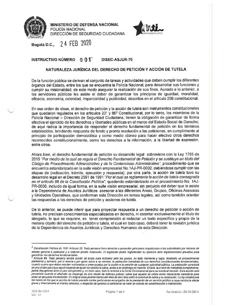 Instructivo 001 Disec-Asjur | PDF