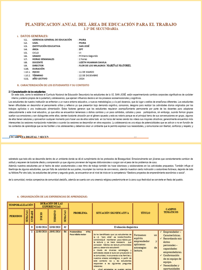 1-2º PLAN CURRICULAR ANUAL EPT - CAMPOS TEMATICOS (1) Imprimir | PDF | Iniciativa empresarial ...