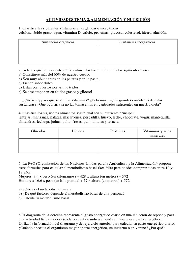 Actividades sobre Alimentación y Nutrición | PDF | Alimentos | Metabolismo