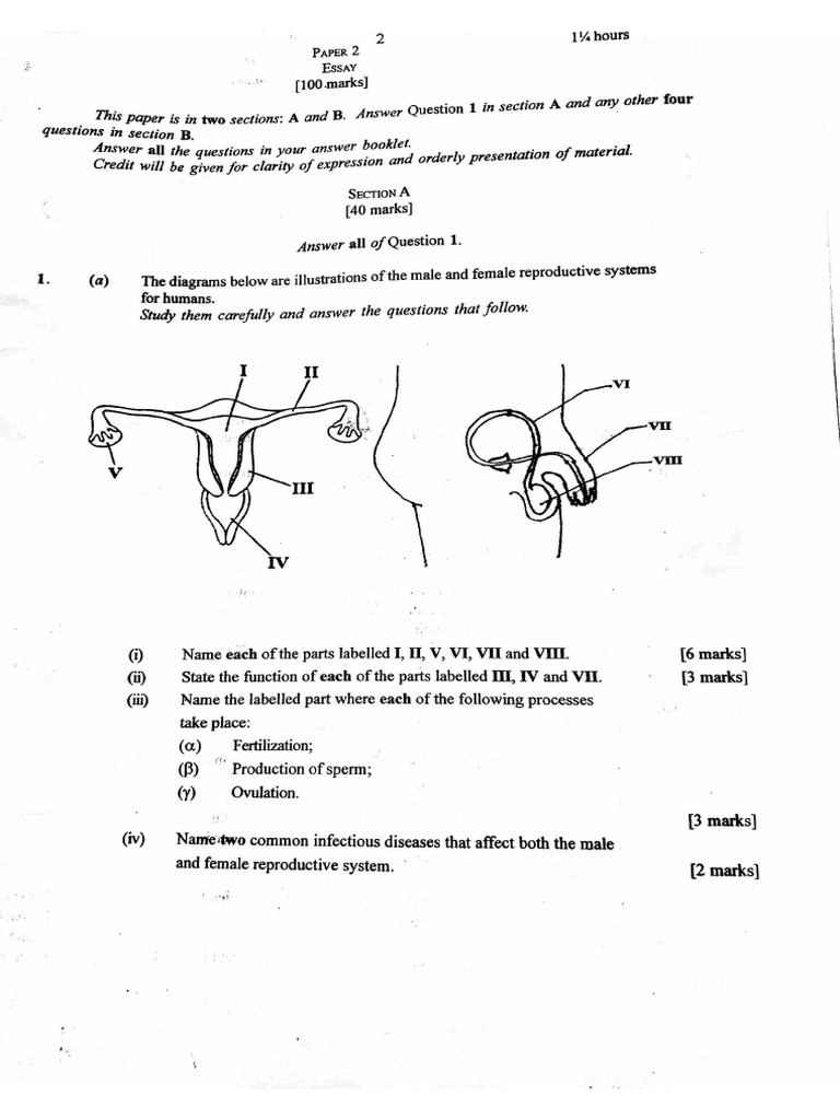 2023 Integrated Science Paper 2 | PDF