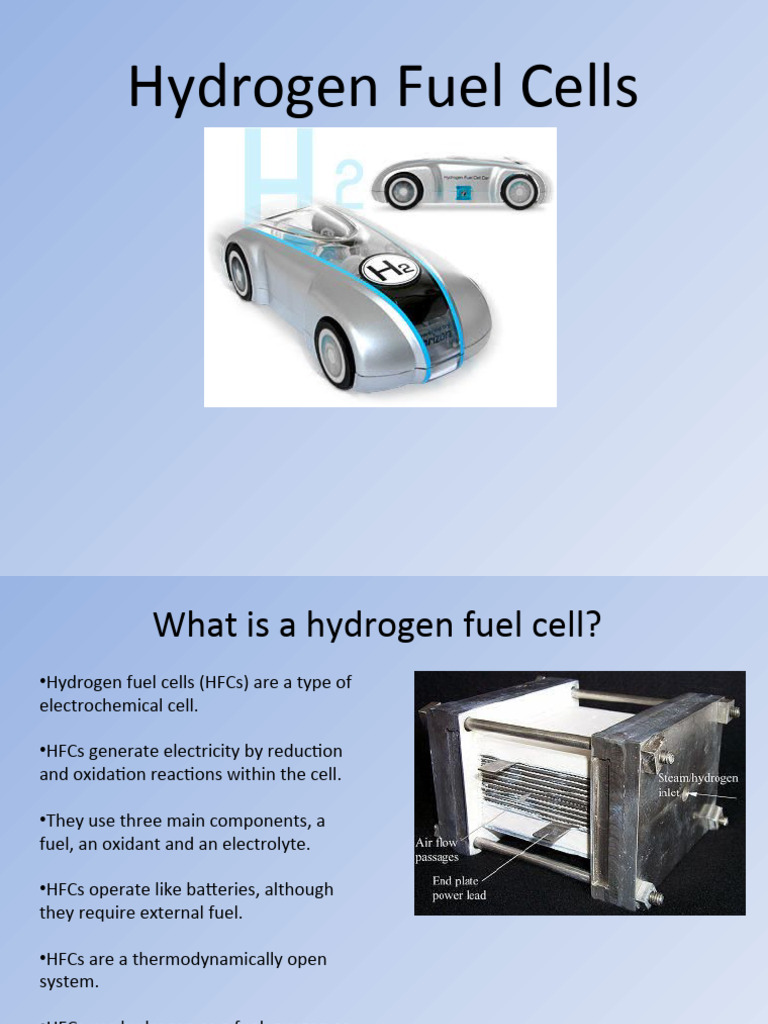 Hydrogen Fuel Cells | PDF | Fuel Cell | Electrochemistry