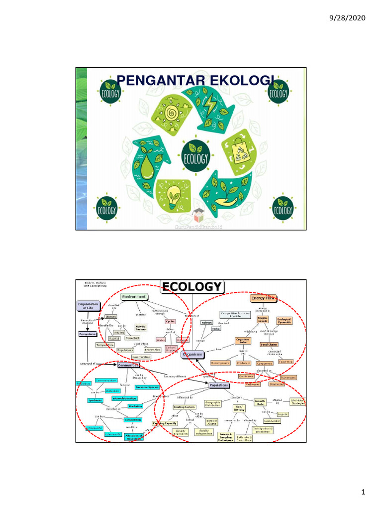 Pengantar Ekologi dan Interaksi Spesies | PDF | Ecology | Ecosystem