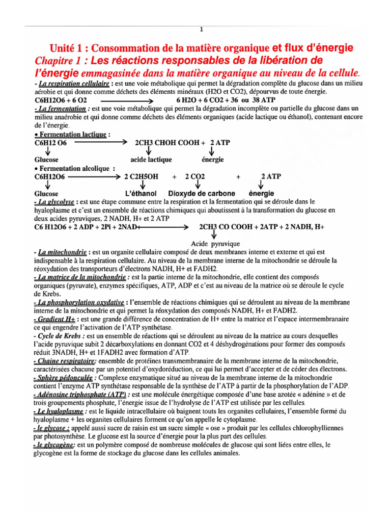 Tous Les Defs SVT 2bac | PDF