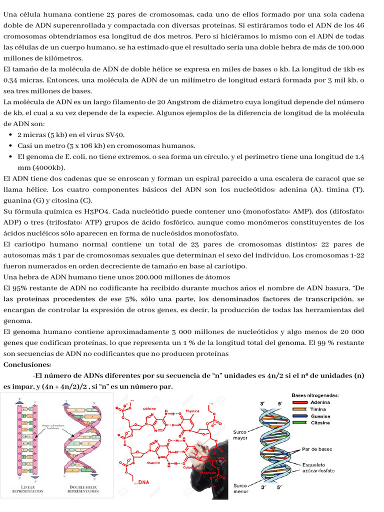 Conclusiones: Es Impar, y (4n + 4n/2) /2, Si "N" Es Un Número Par | Descargar gratis PDF | Adn ...