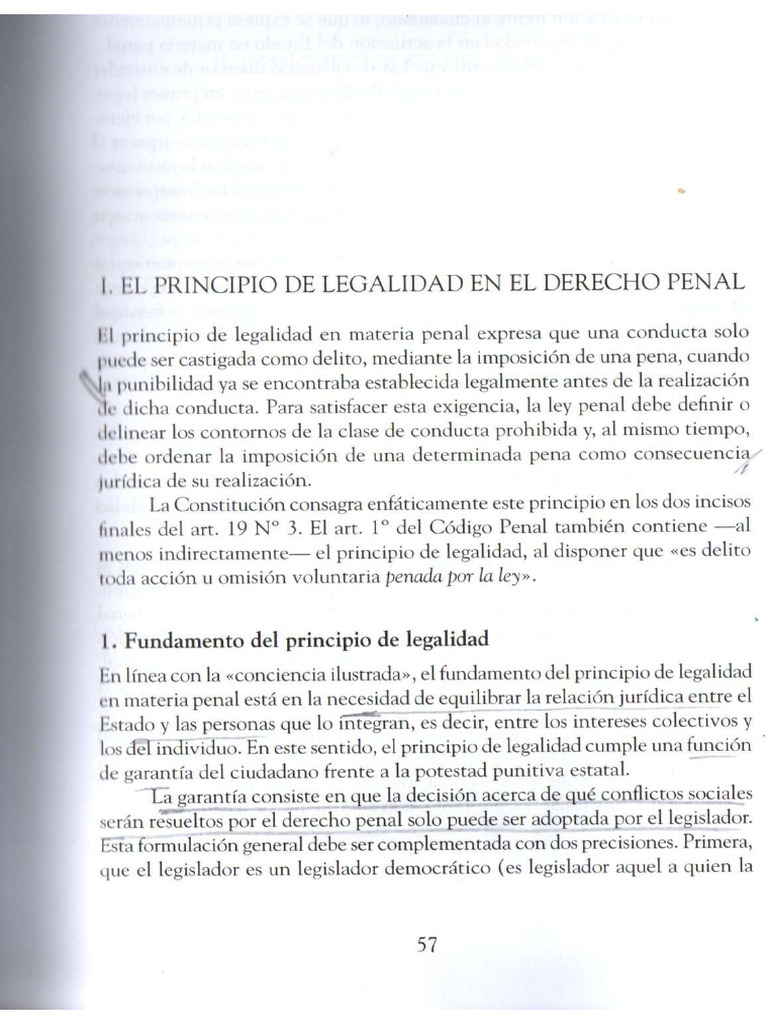 Van Weezel El Principio de Legalidad | PDF
