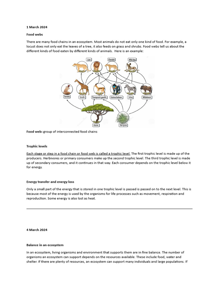 Grade 8 Notes and Work | PDF | Food Web | Ecosystem