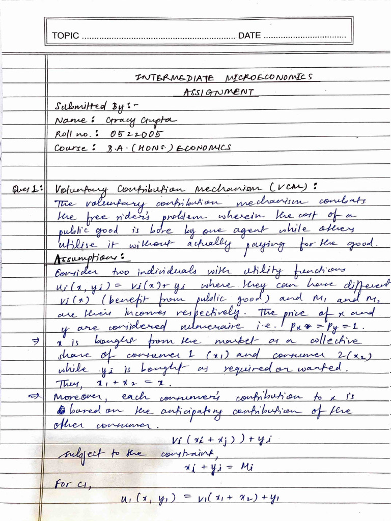 Micro Assignment | PDF