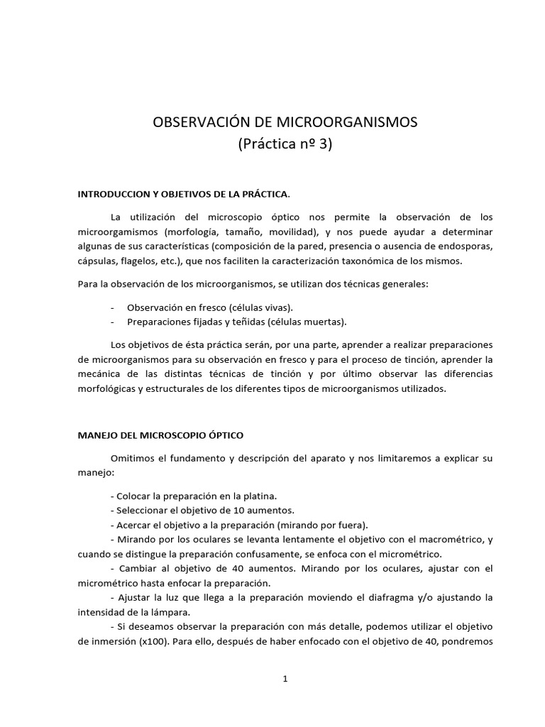 3-Observación de Microorganismos. Tinciones | PDF | Tinción | Las bacterias