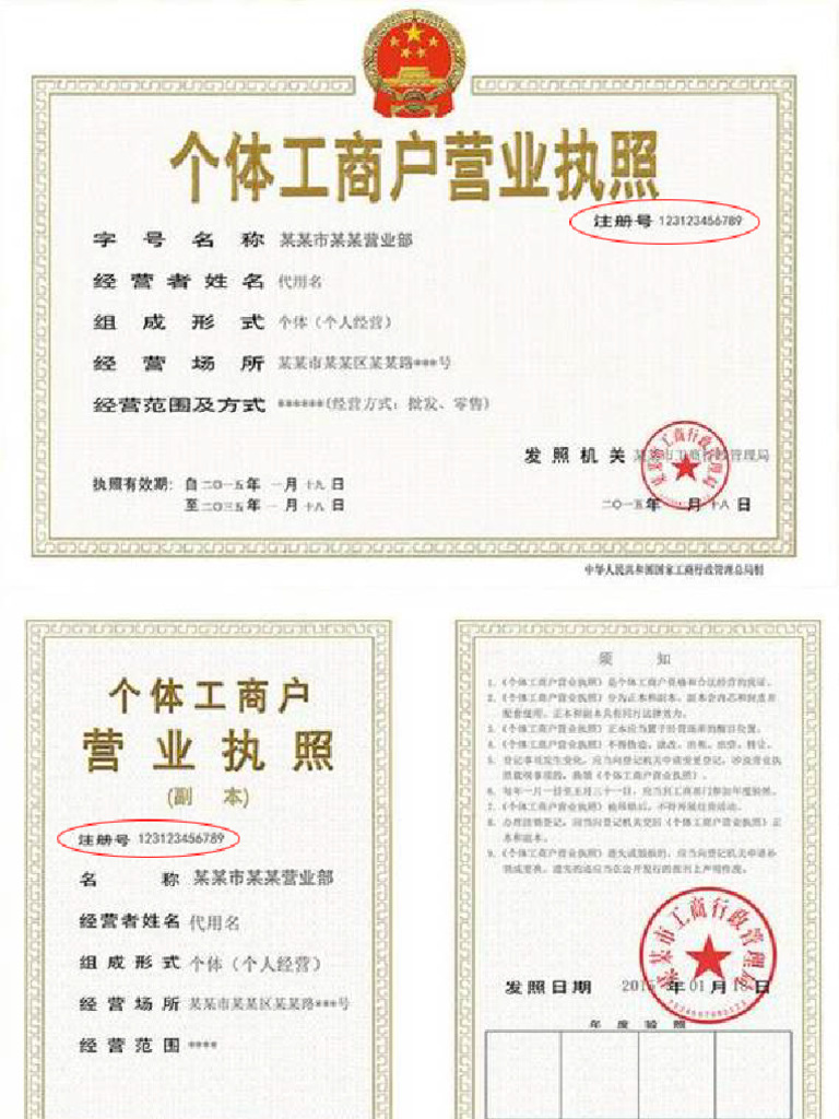 Chinese Business Registration Certificate Sample | PDF