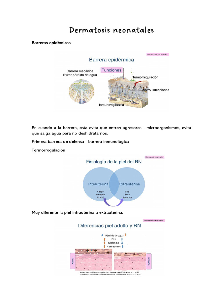 Dermatosis Neonatales: Guía Esencial | PDF | Dermatología | Piel