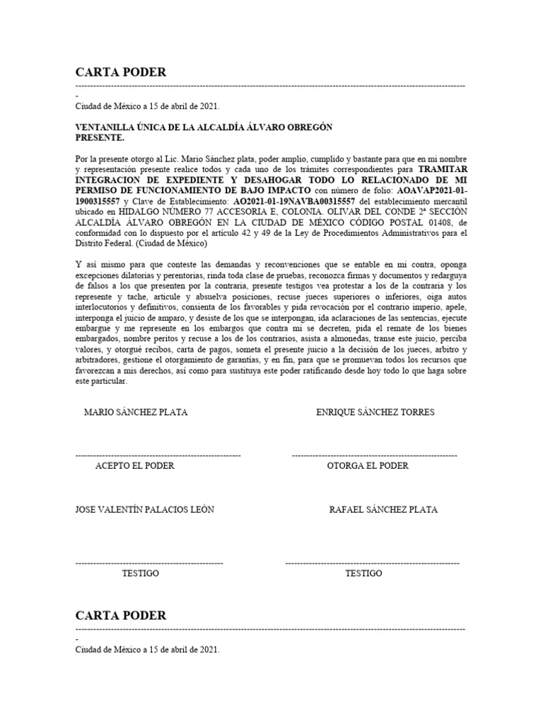 Carta Poder | Descargar gratis PDF | Justicia | Crimen y violencia