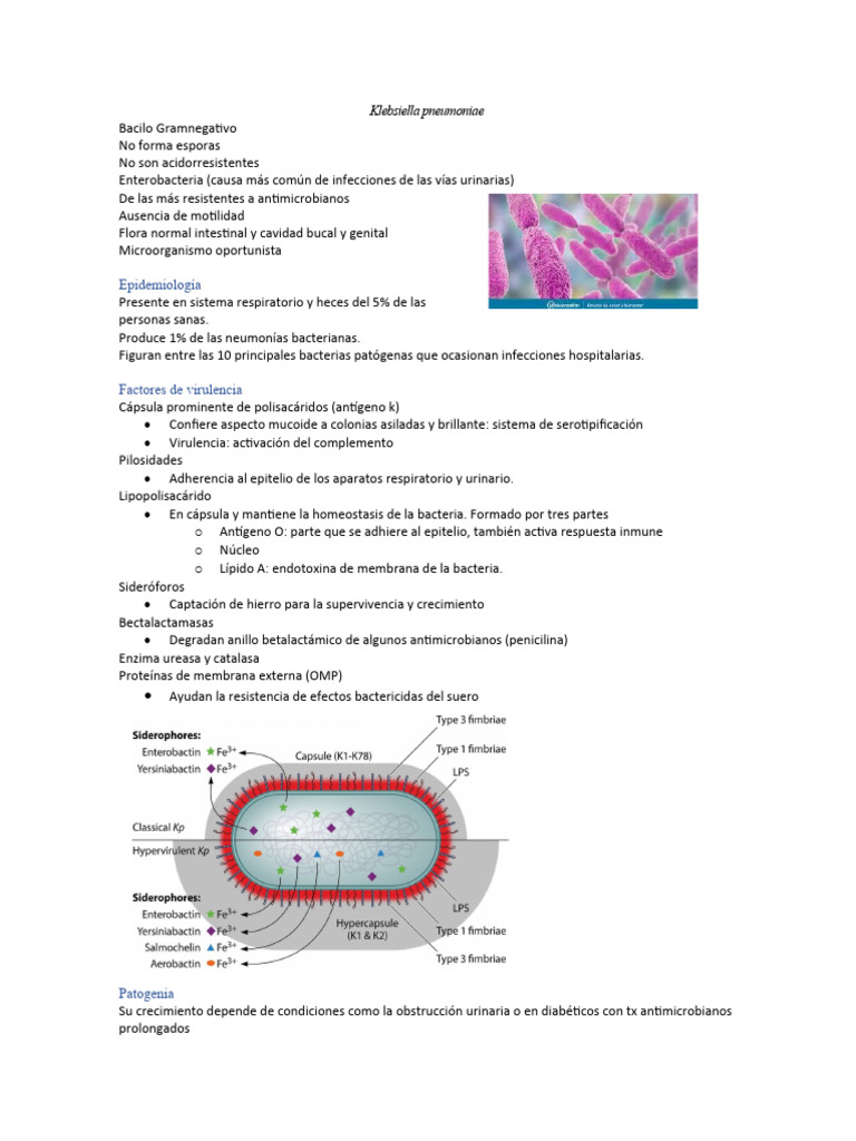 Klebsiella Pneumoniae | Descargar gratis PDF | Inmunología | Microbiología