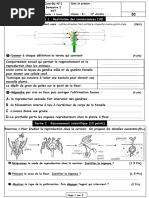 Contrôle SVT 2AC Semestre 2 avec Corrigé | PDF | Système reproducteur ...