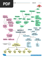 BIO-TISSUES MIND MAP Class 9 | PDF