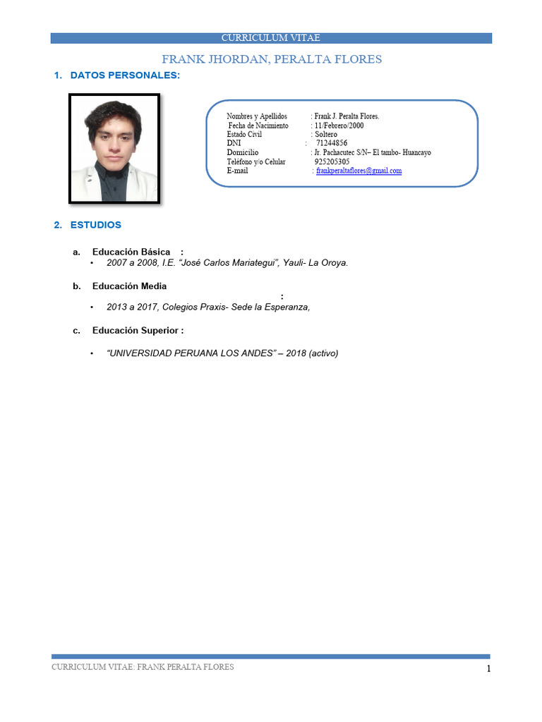Curriculum Vitae Frank Peralta Flores | PDF | Presupuesto