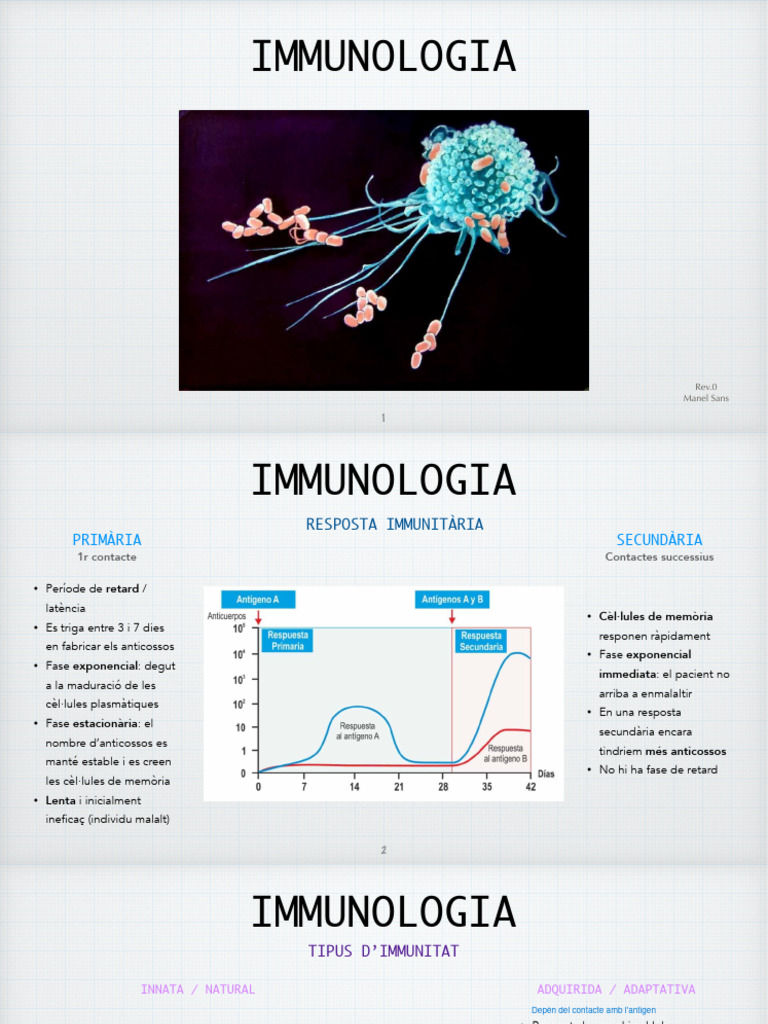 Immuno 2 | PDF