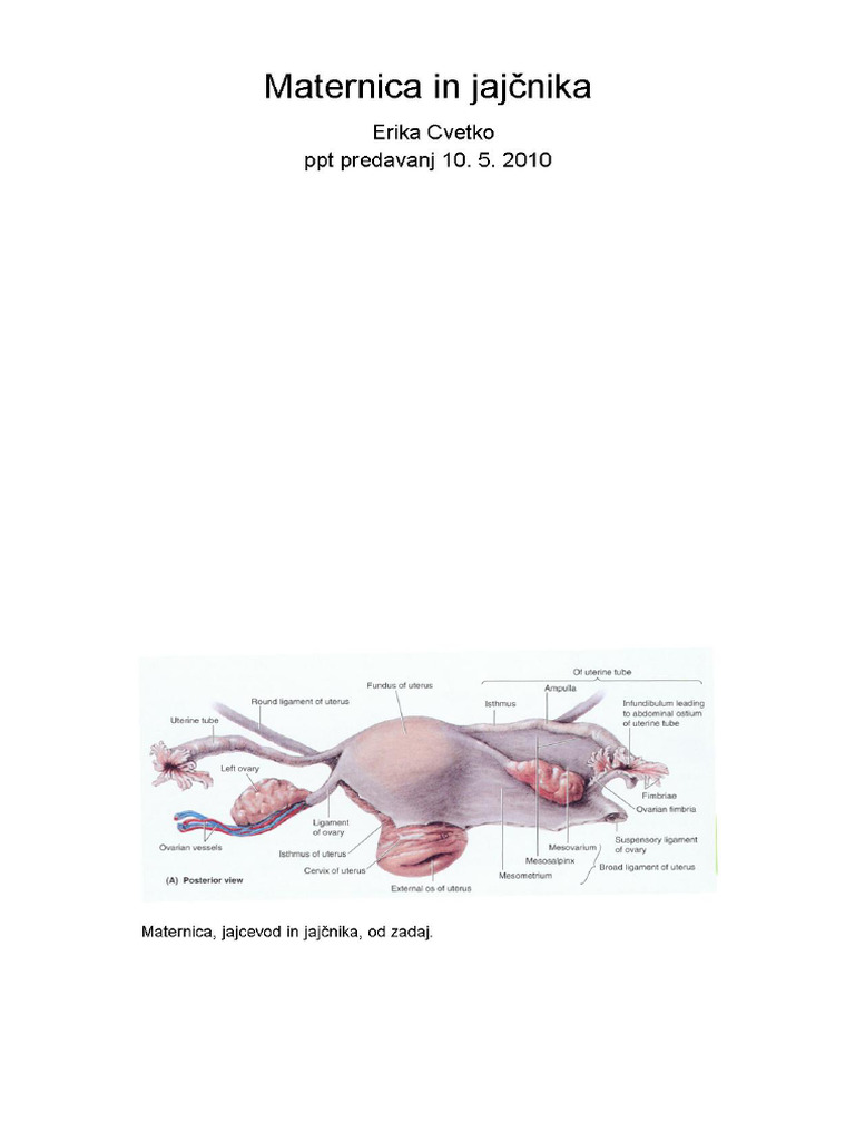 Maternica, Jajčnika - Powerpoint | PDF