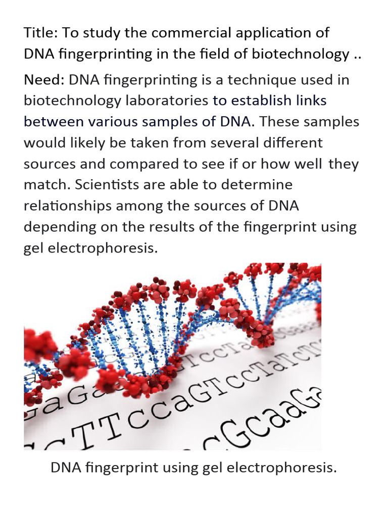 Science-2 Project | PDF