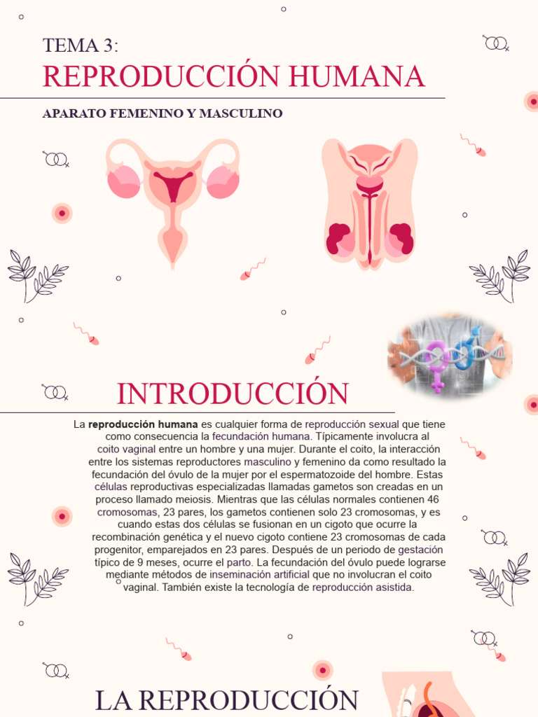 Biology Subject for High School_ Human Reproduction by Slidesgo | PDF ...