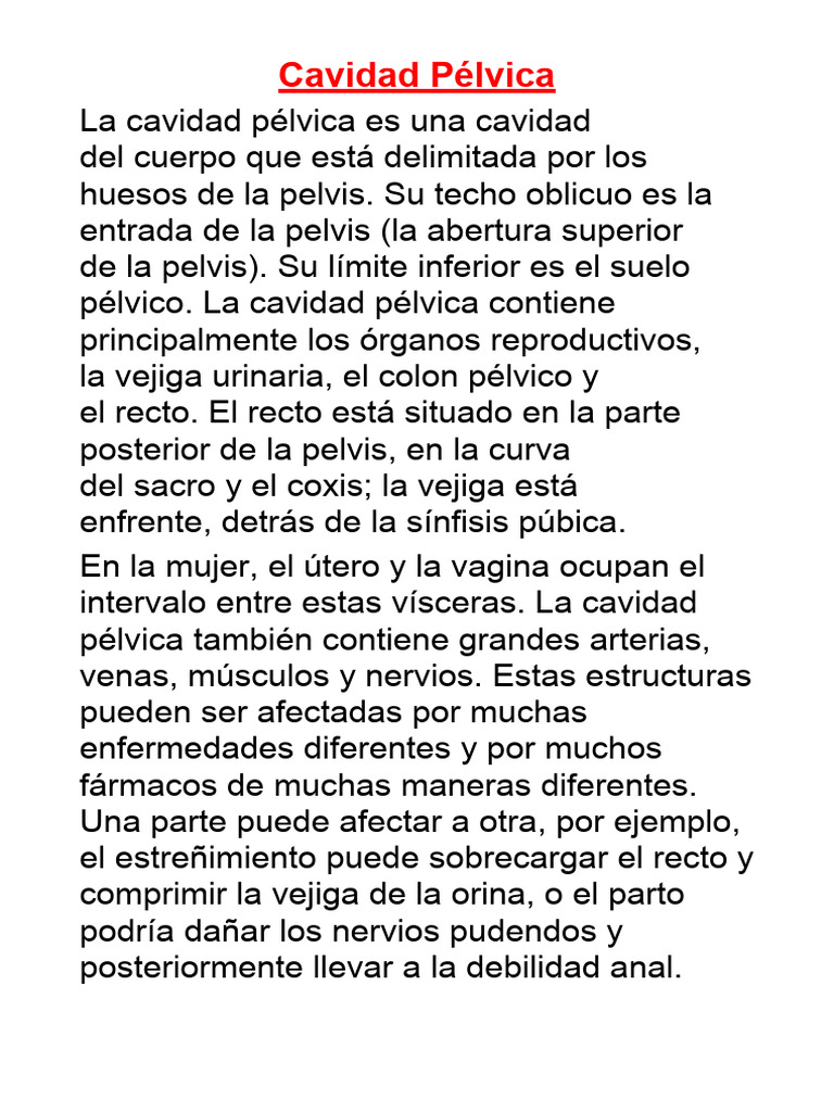Cavidad Pélvica Pdf Pelvis Anatomía