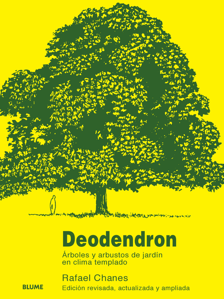 Guía de Deodendron para Jardines | PDF | Hoja | Plantas