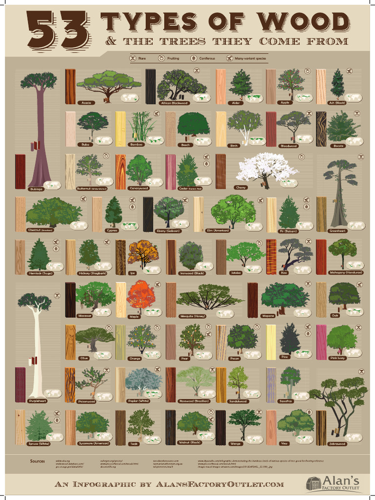 53 Types of Wood Printable | PDF