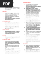 Partes de la Salpinge y Anatomía Asociada | PDF | Ovario | Pelvis