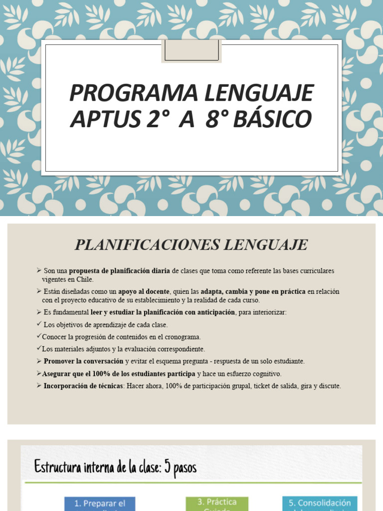 Programa Lenguaje Aptus 2° A 8° | PDF | Aprendizaje | Maestros