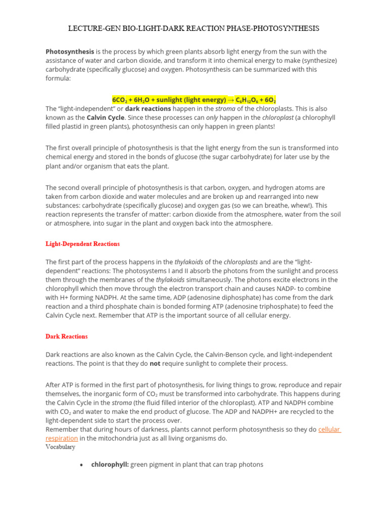 Lecture Gen Bio Light Dark Reaction Phase Photosynthesis | PDF ...